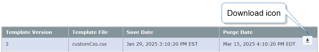 Custom Template Version History